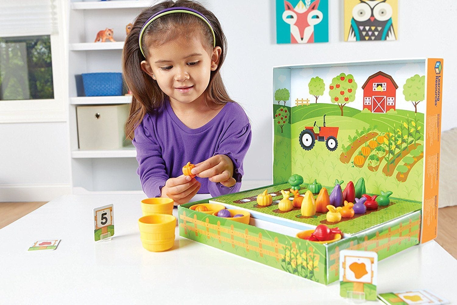 LR vegetable garden sorting set